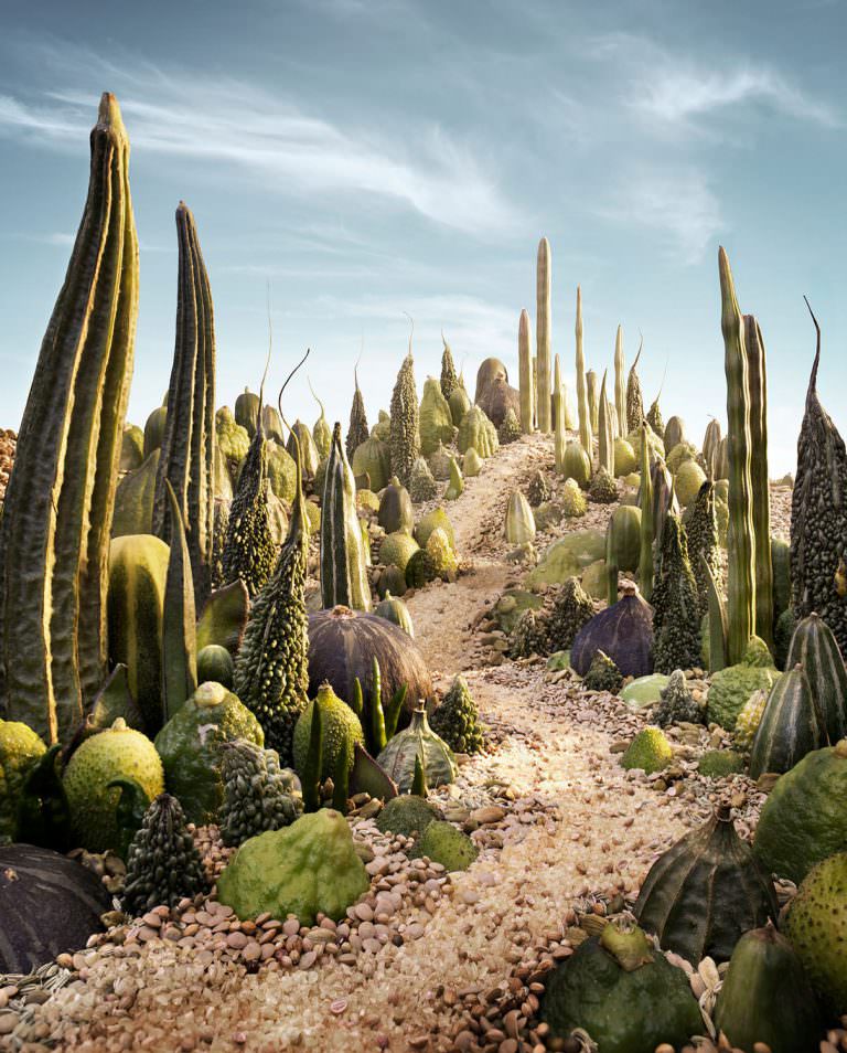 Category: Artist - Carl Warner