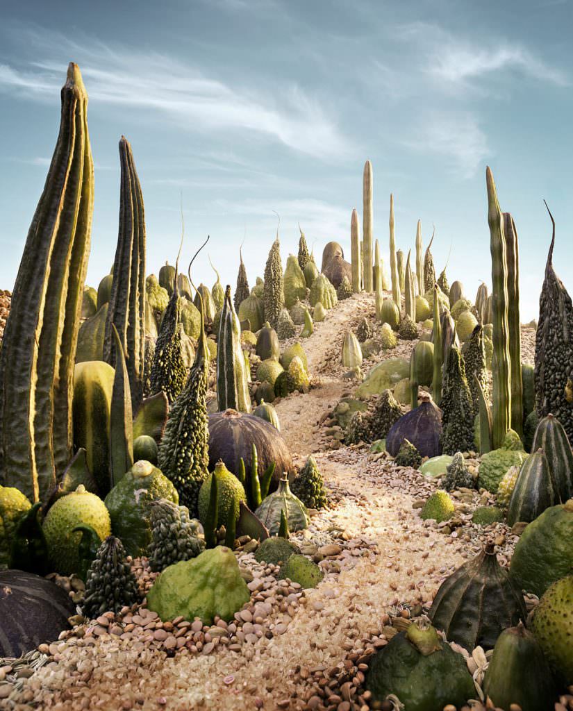 Category: Artist - Carl Warner