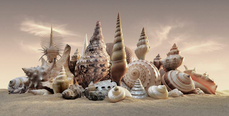 Shell City - Carl Warner